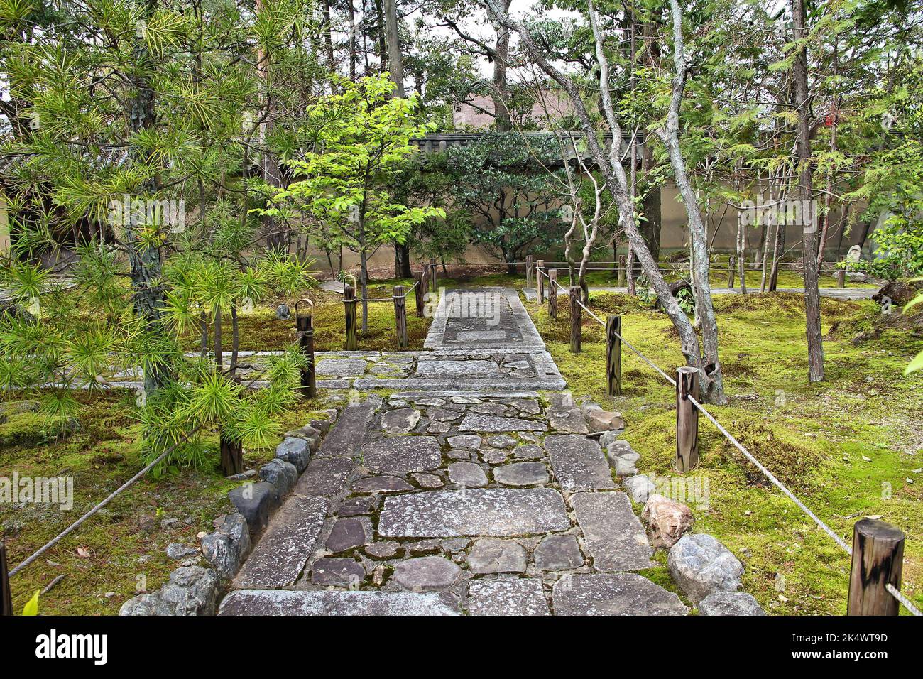 Japanese moss garden in Kyoto, Japan. Kyoto Kita Ward landmark ...