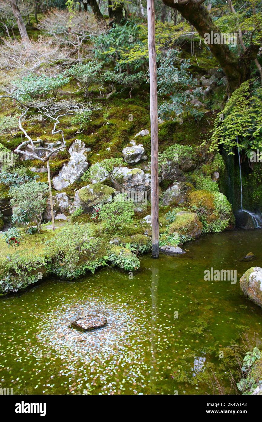 Kyoto, Japan. Japanese lucky coins thrown into a pond in temple garden ...