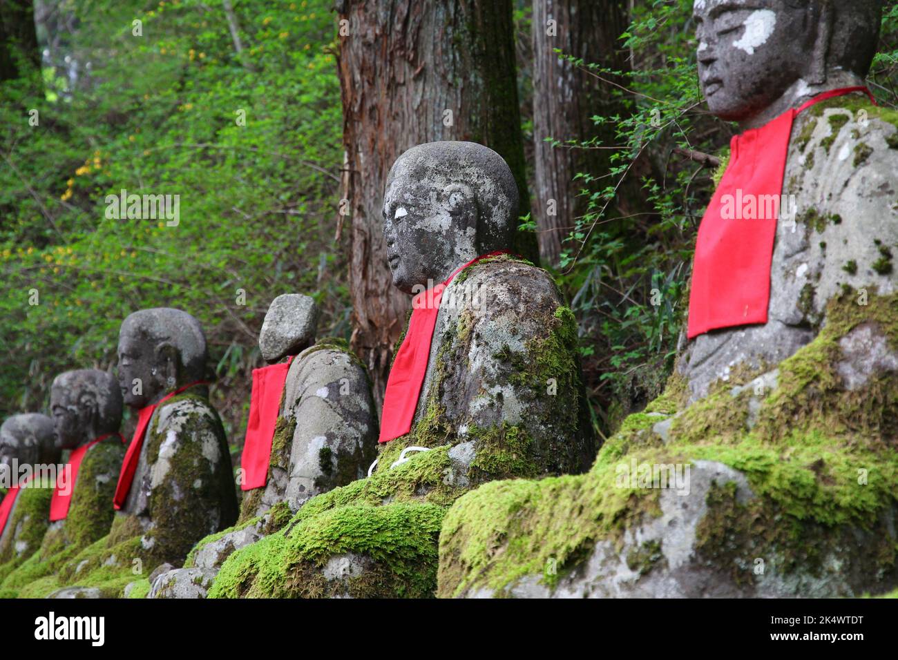 Japan monument - Narabi Jizo statues in Nikko forest by Kanmangafuchi ...
