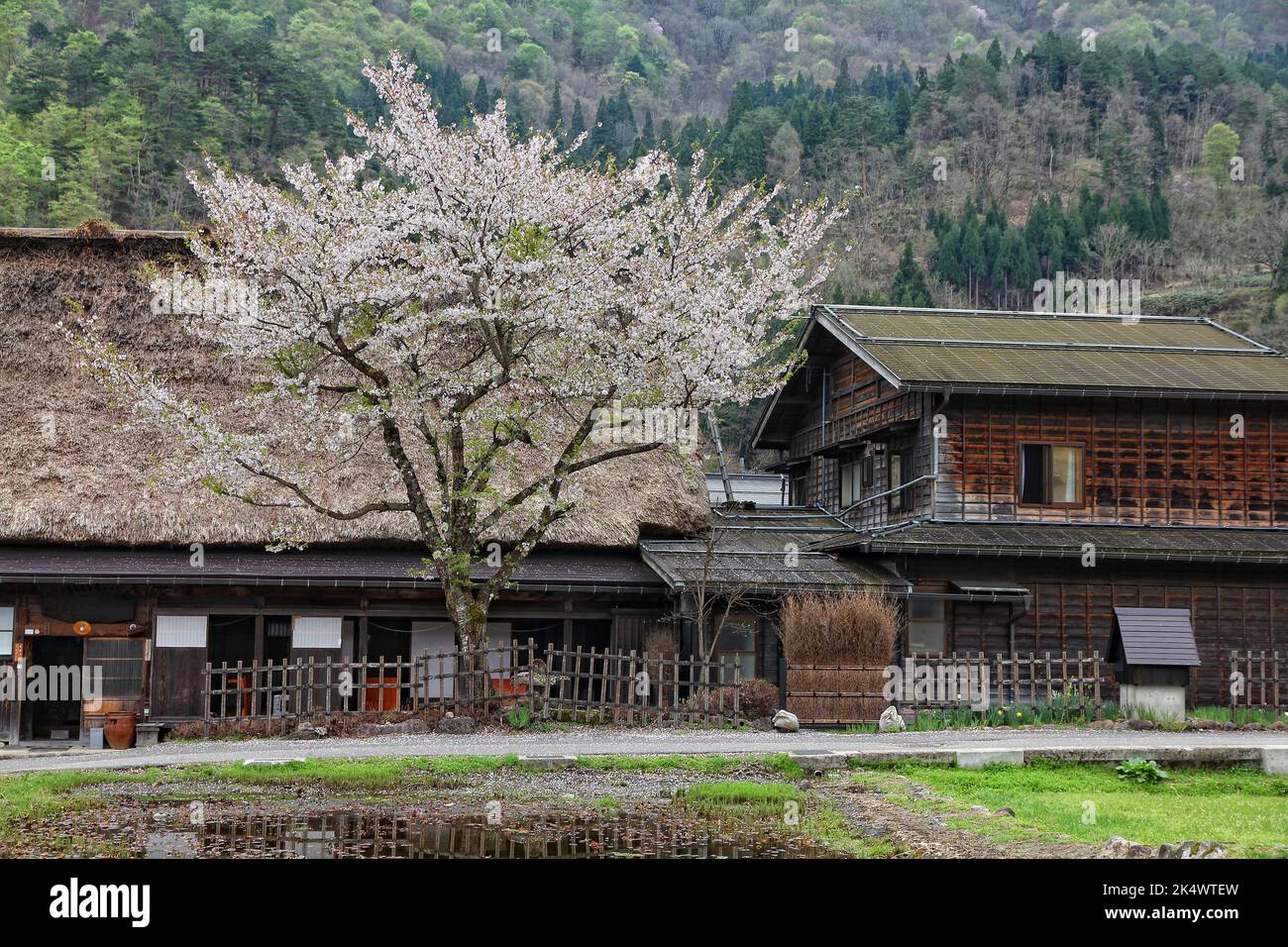 Japan landmark village. Shirakawa-go traditional village in Japan ...