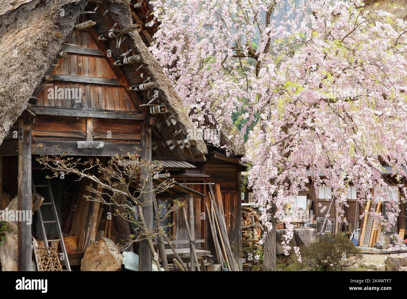 Japan landmark village. Shirakawa-go traditional village in Japan ...