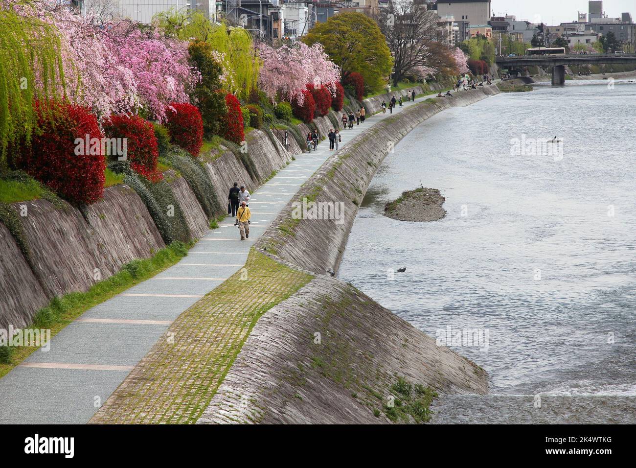 KYOTO, JAPAN - APRIL 14, 2012: People visit Kamogawa river embankment ...