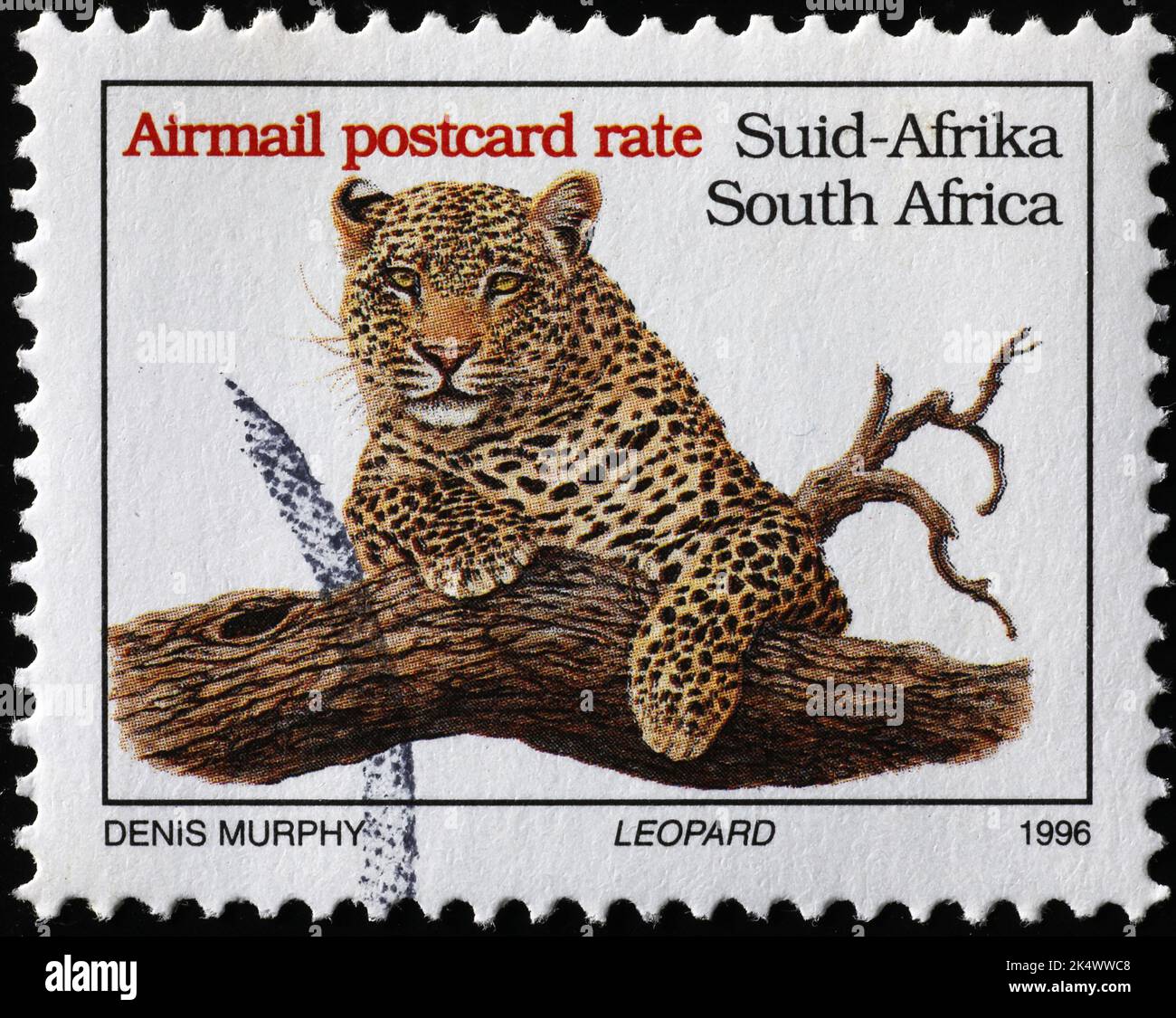 Leopard on south african postage stamp Stock Photo - Alamy
