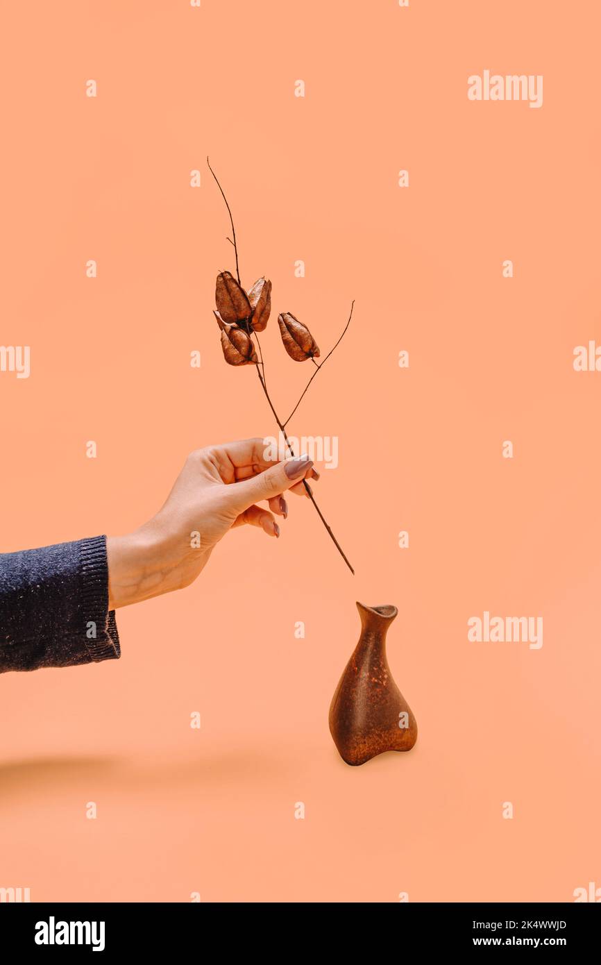 A woman's hand holds a sprig of dry flowers of an unusual shape ...