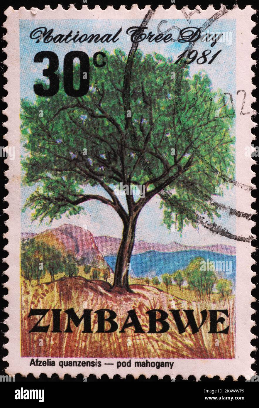 Mahogany tree on stamp of Zimbabwe Stock Photo - Alamy