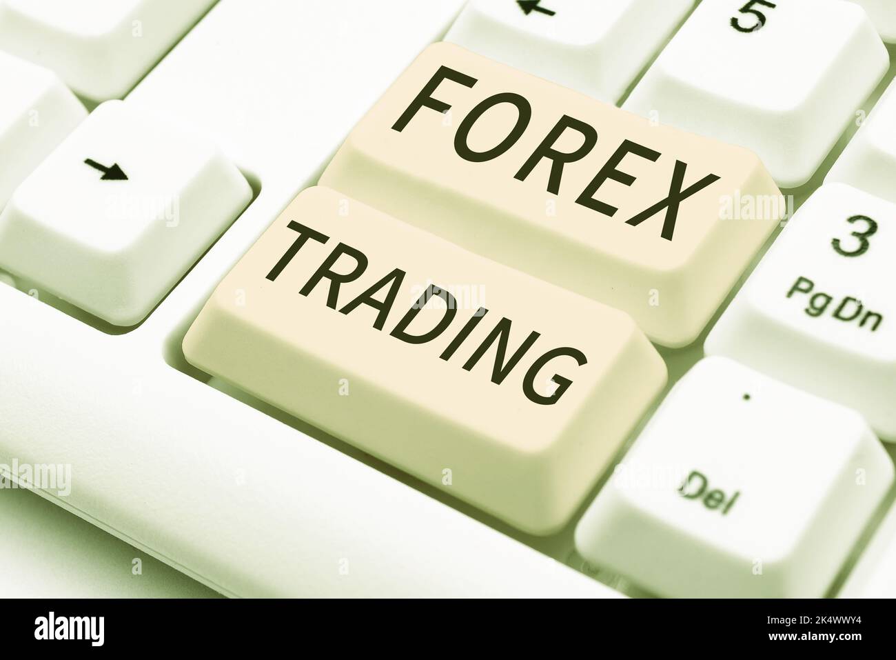 Text sign showing Forex Trading. Business idea global market allowing ...