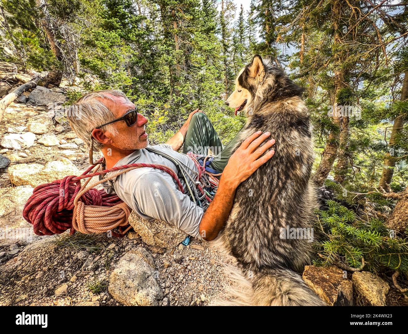 Crag dog hi-res stock photography and images - Alamy