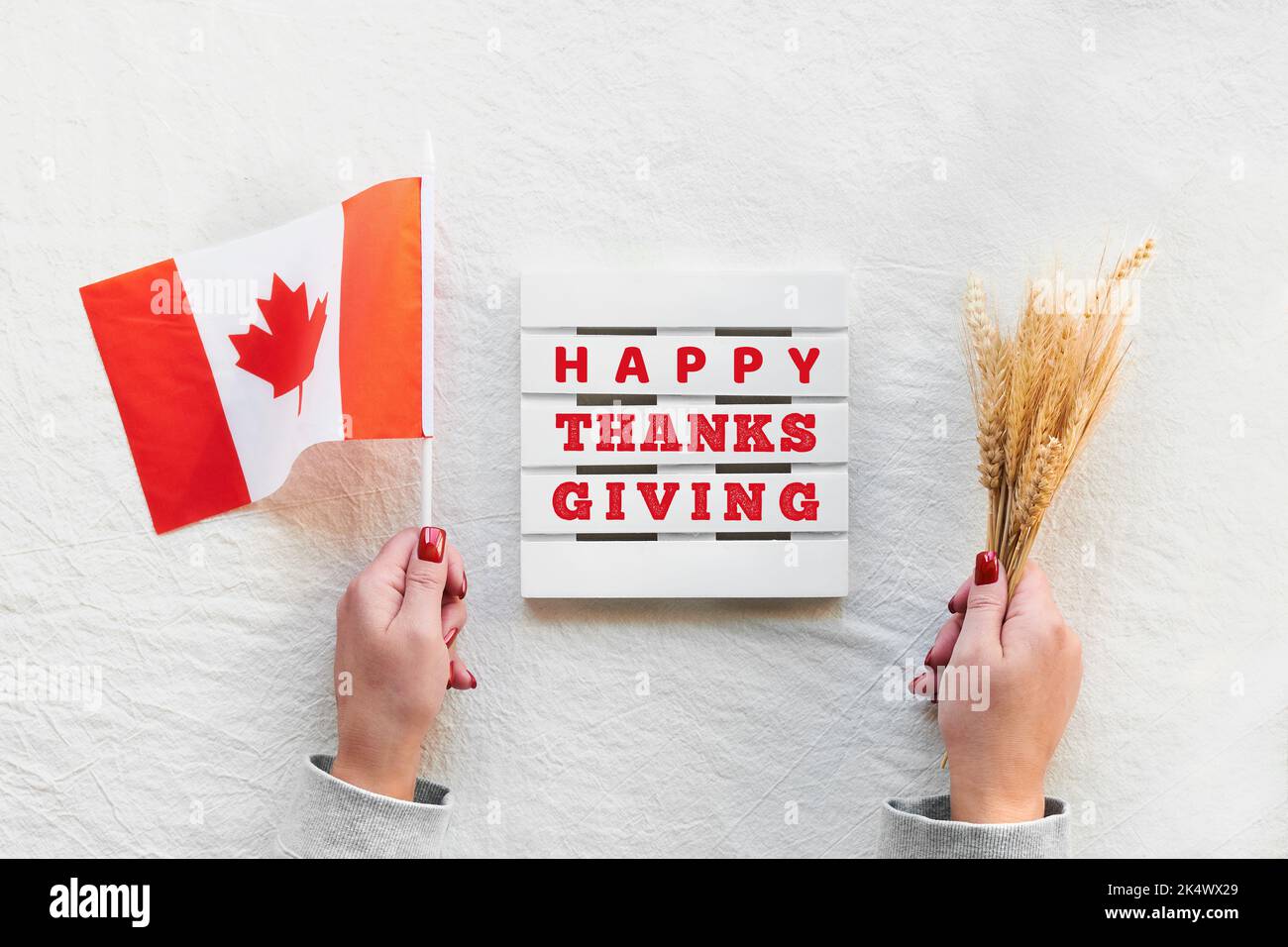 Happy Canada Thanksgiving Day. Canadian flag and wheat ears in hand on ...