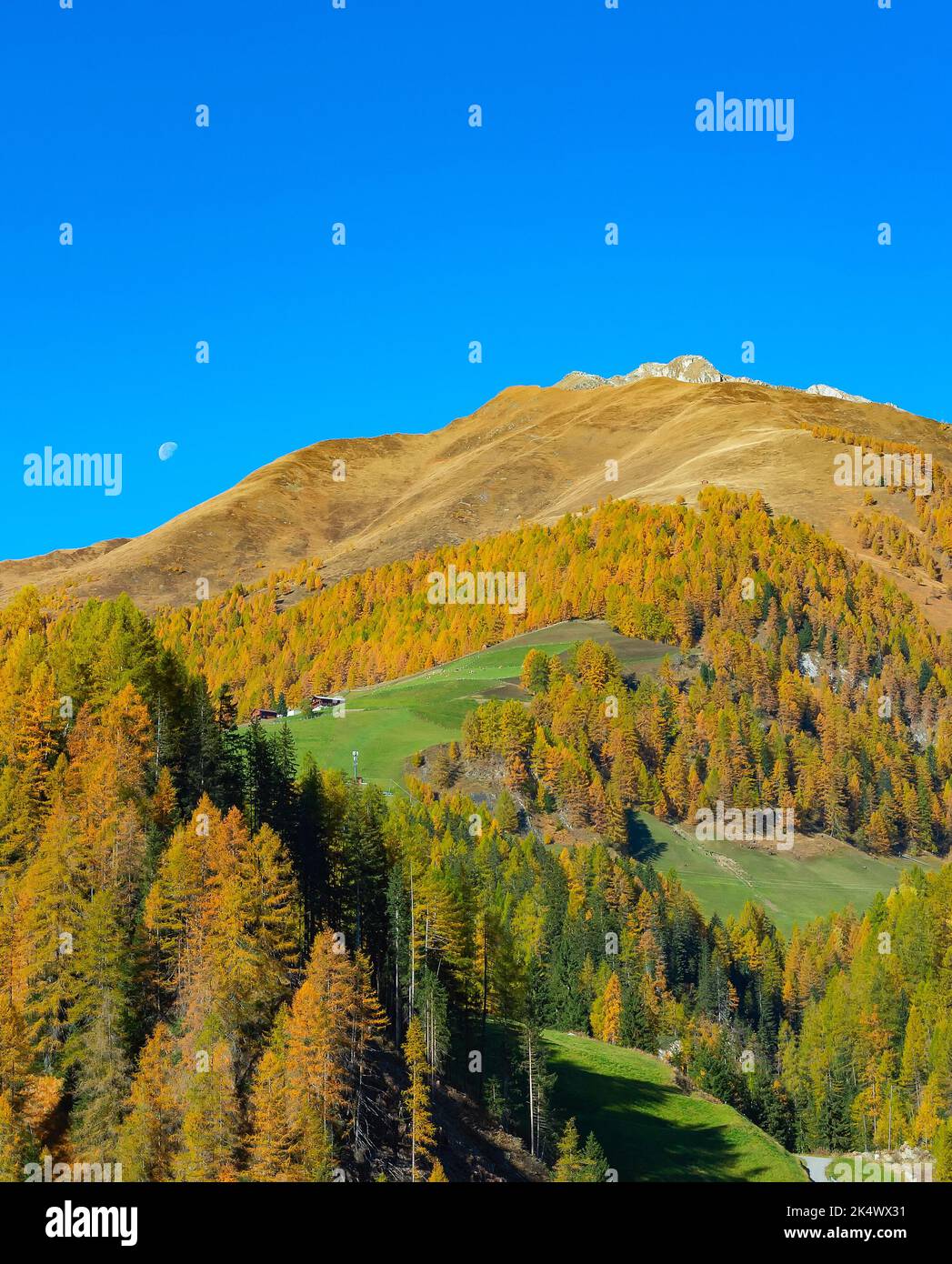Austrian Alps. Landscape with forest and moon over mountains peaks ...