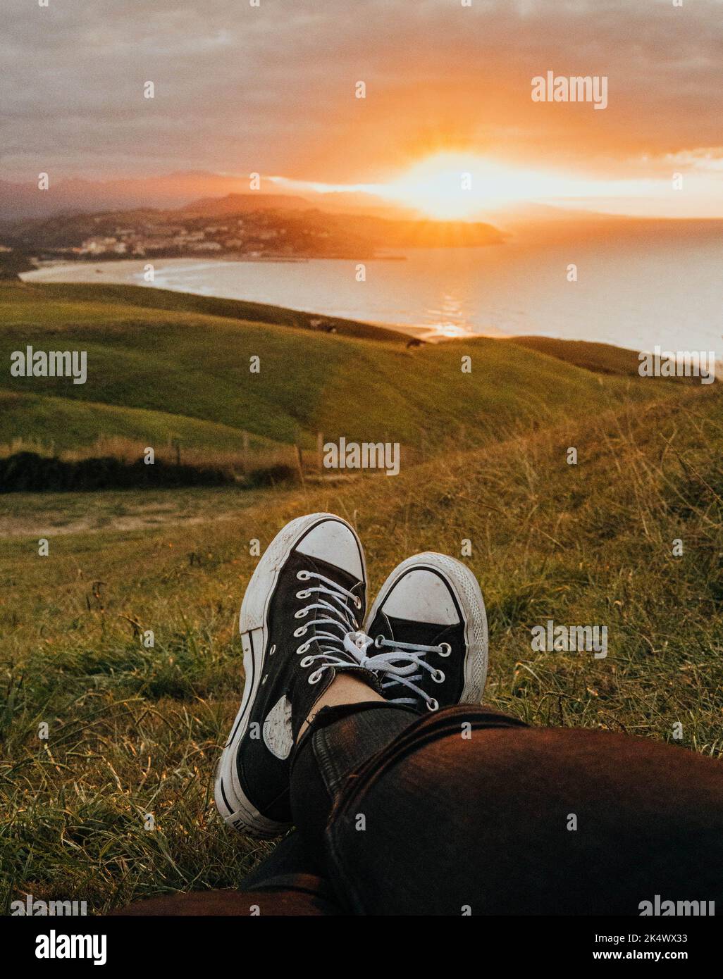 Orange legs and feet hi-res stock photography and images - Alamy