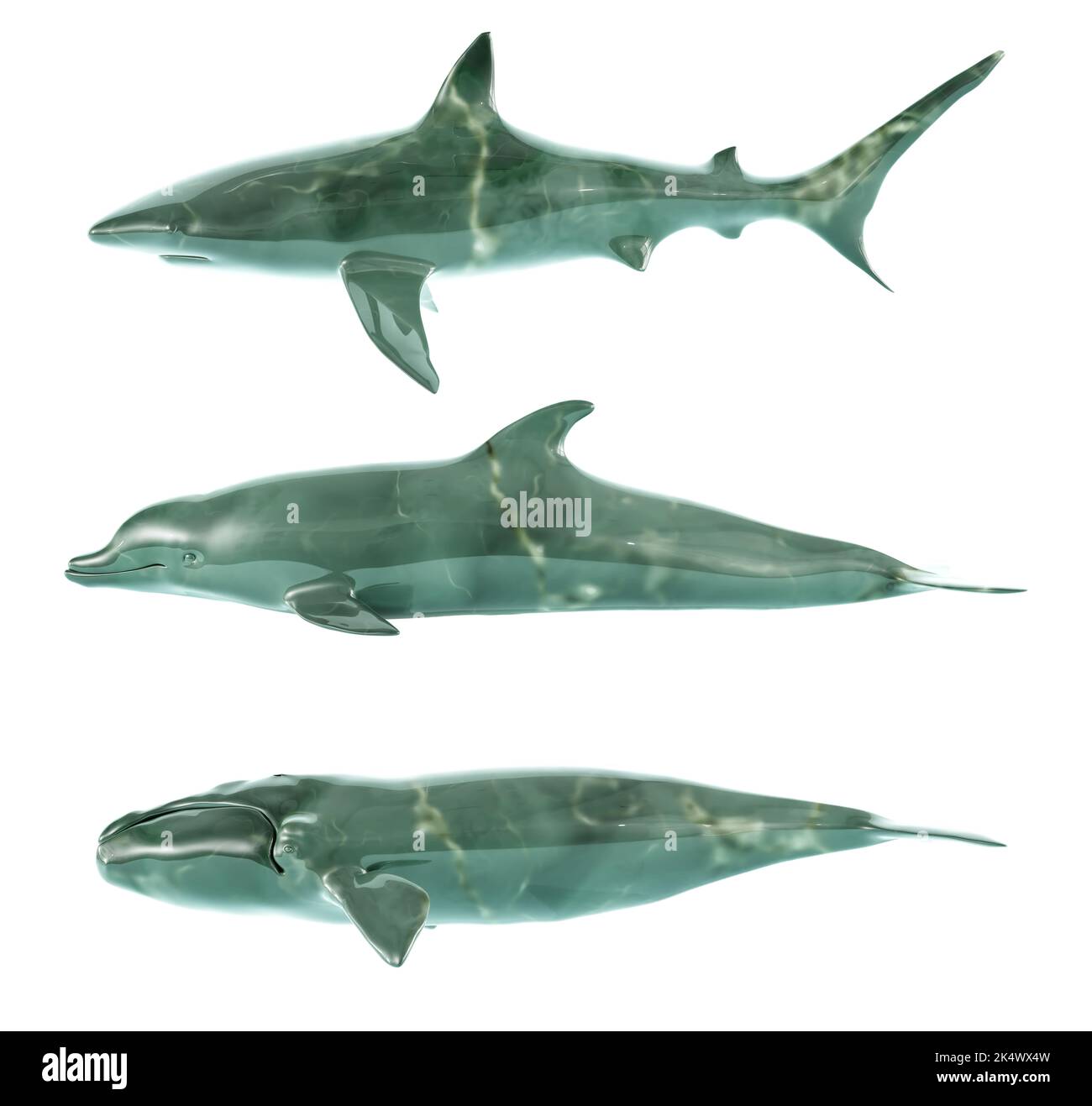 Marble fish collection, set on white background Stock Photo - Alamy