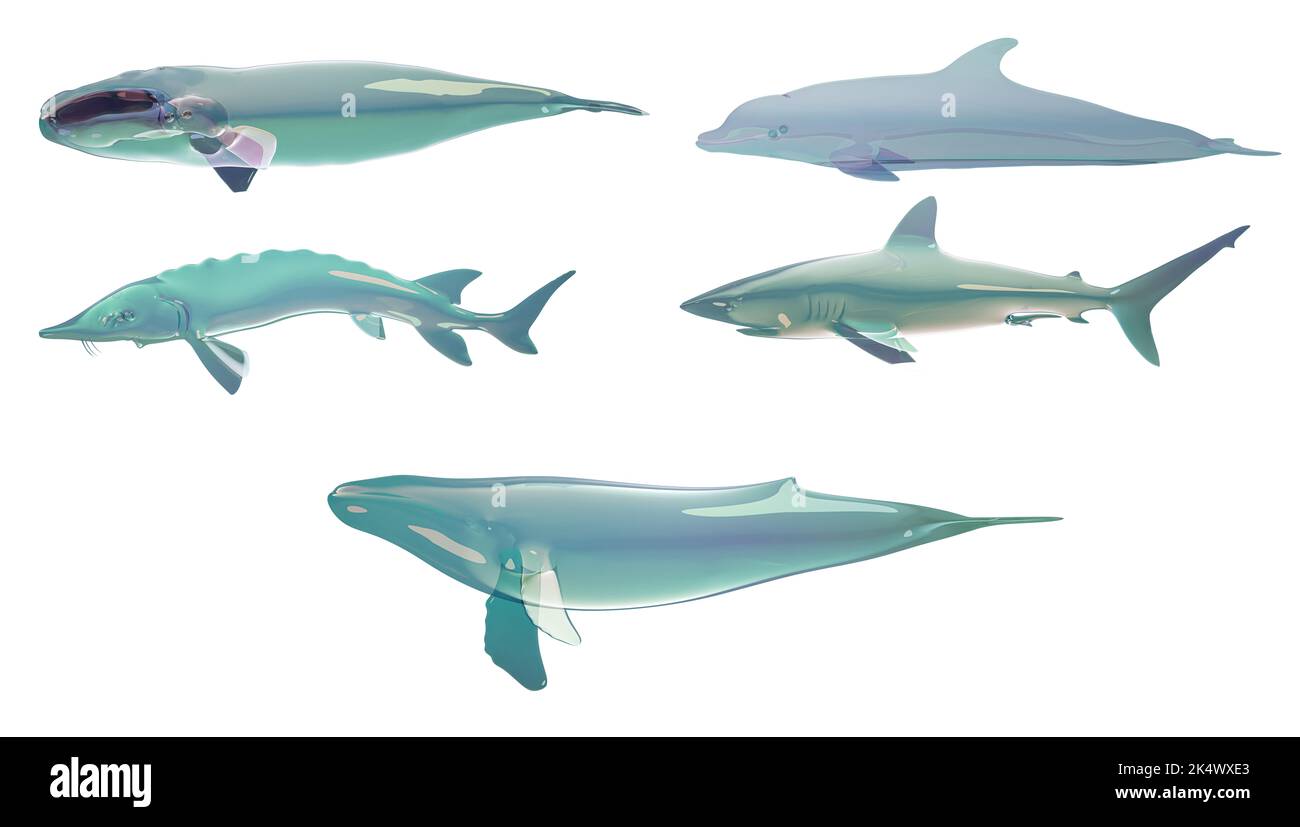 Transparent, translucent glass, crystal whale sculpture, statue Stock ...