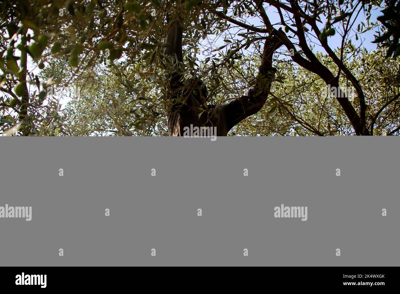 Gaza City, Gaza Strip, Palestine. 4th Oct, 2022. Gaza, Palestine. 04 ...