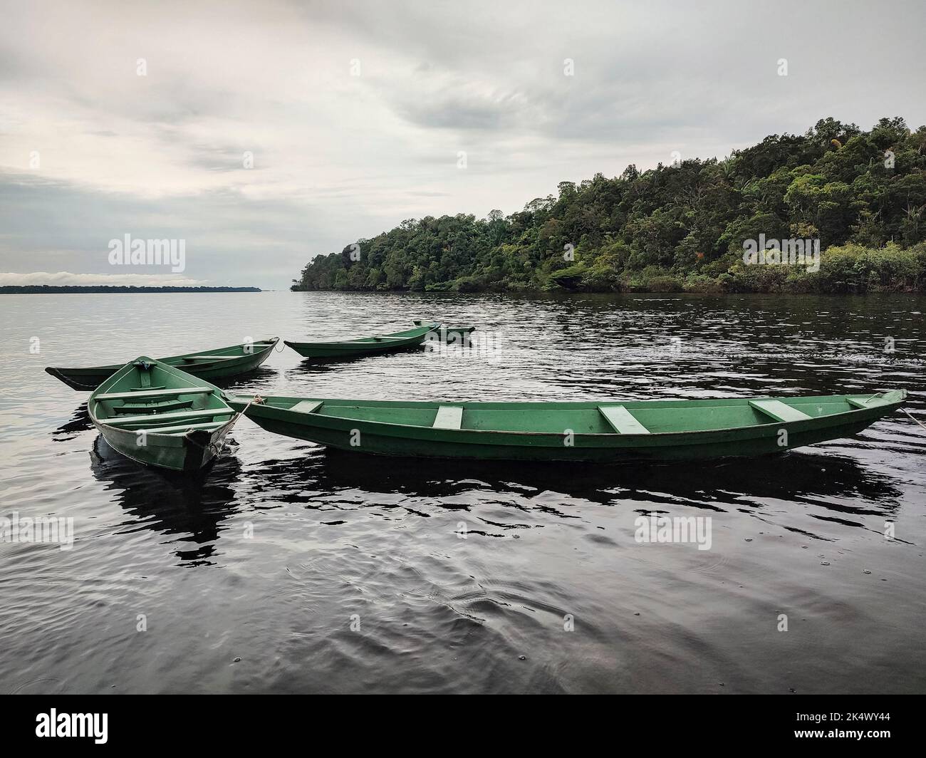 Beautiful view to green traditional local canoes in amazon Negro River ...