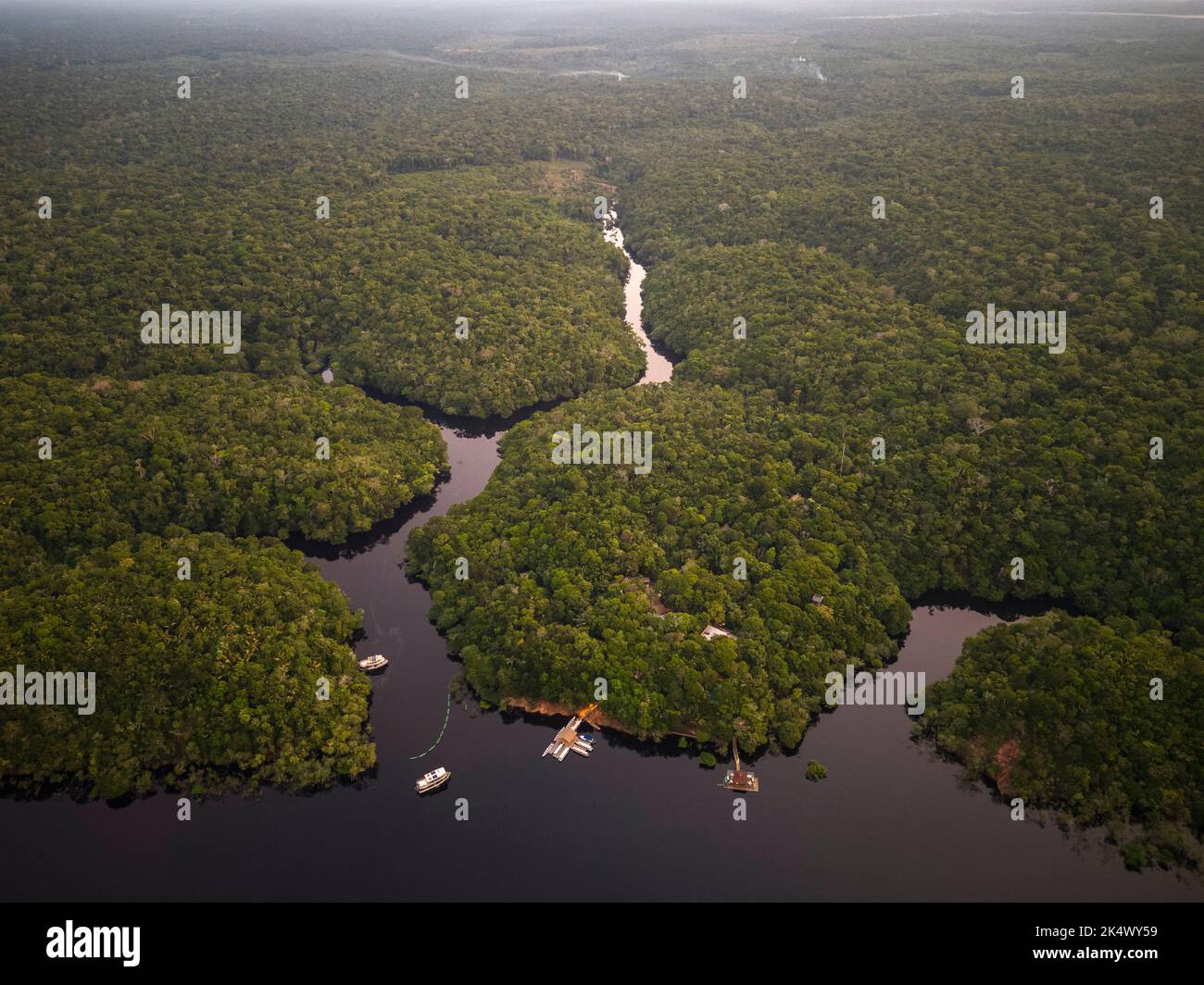 Beautiful aerial view to Negro River near Anavilhanas archipelago Stock ...