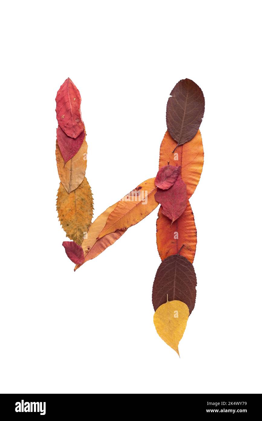 Number 4 leaves hi-res stock photography and images - Alamy