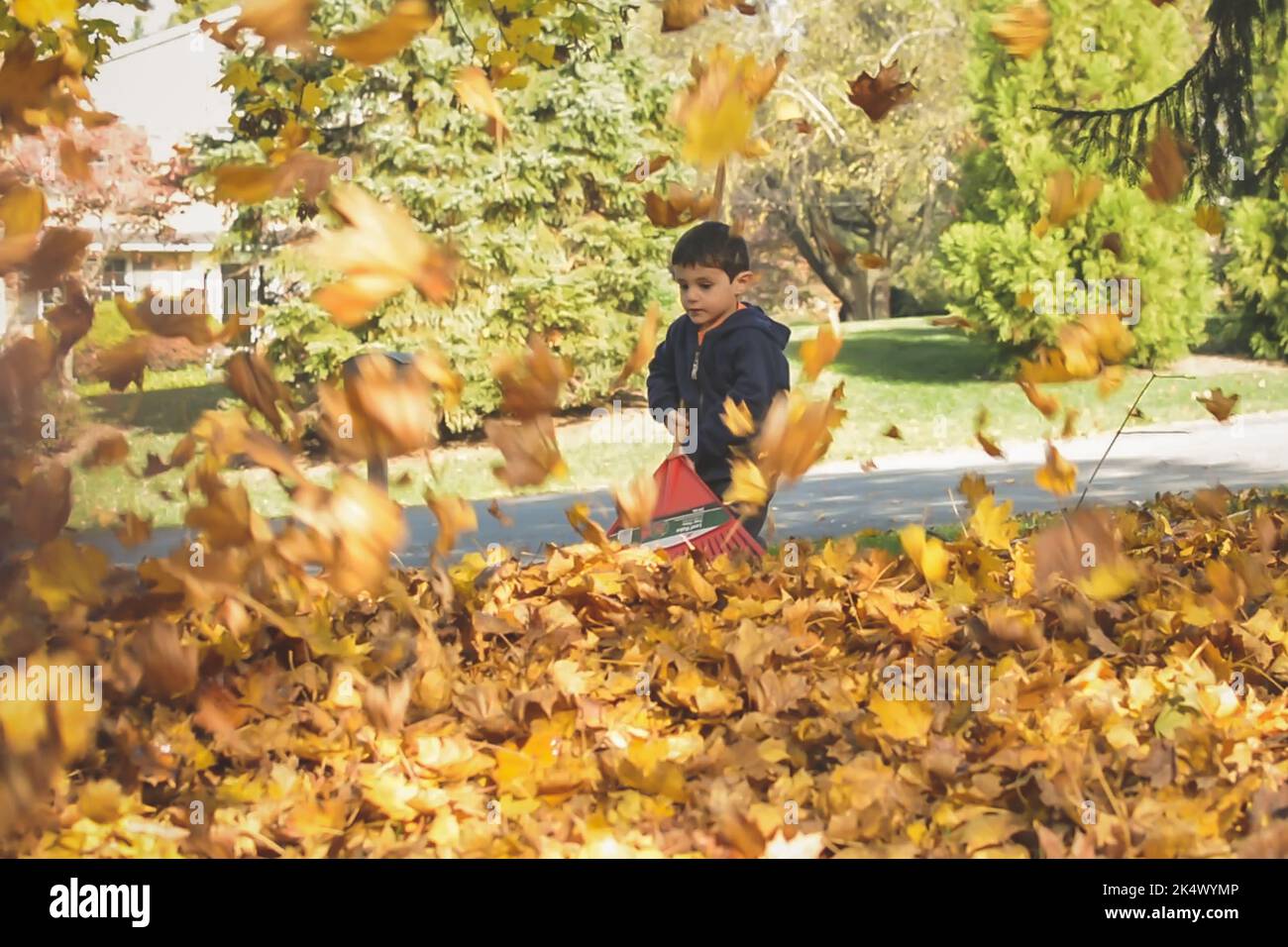 Blowing to fall hi-res stock photography and images - Alamy
