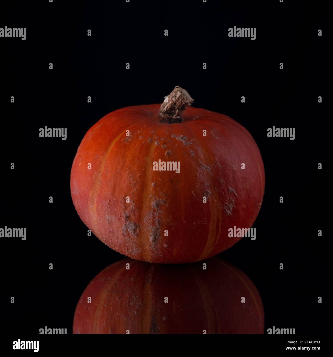 pumpkin on black background with mirror reflection Stock Photo - Alamy