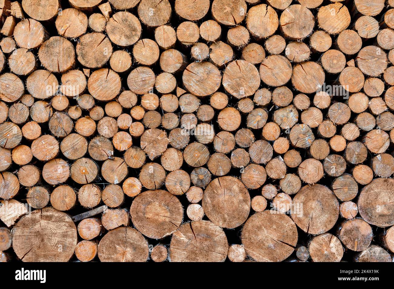 Timber for biomass hi-res stock photography and images - Alamy