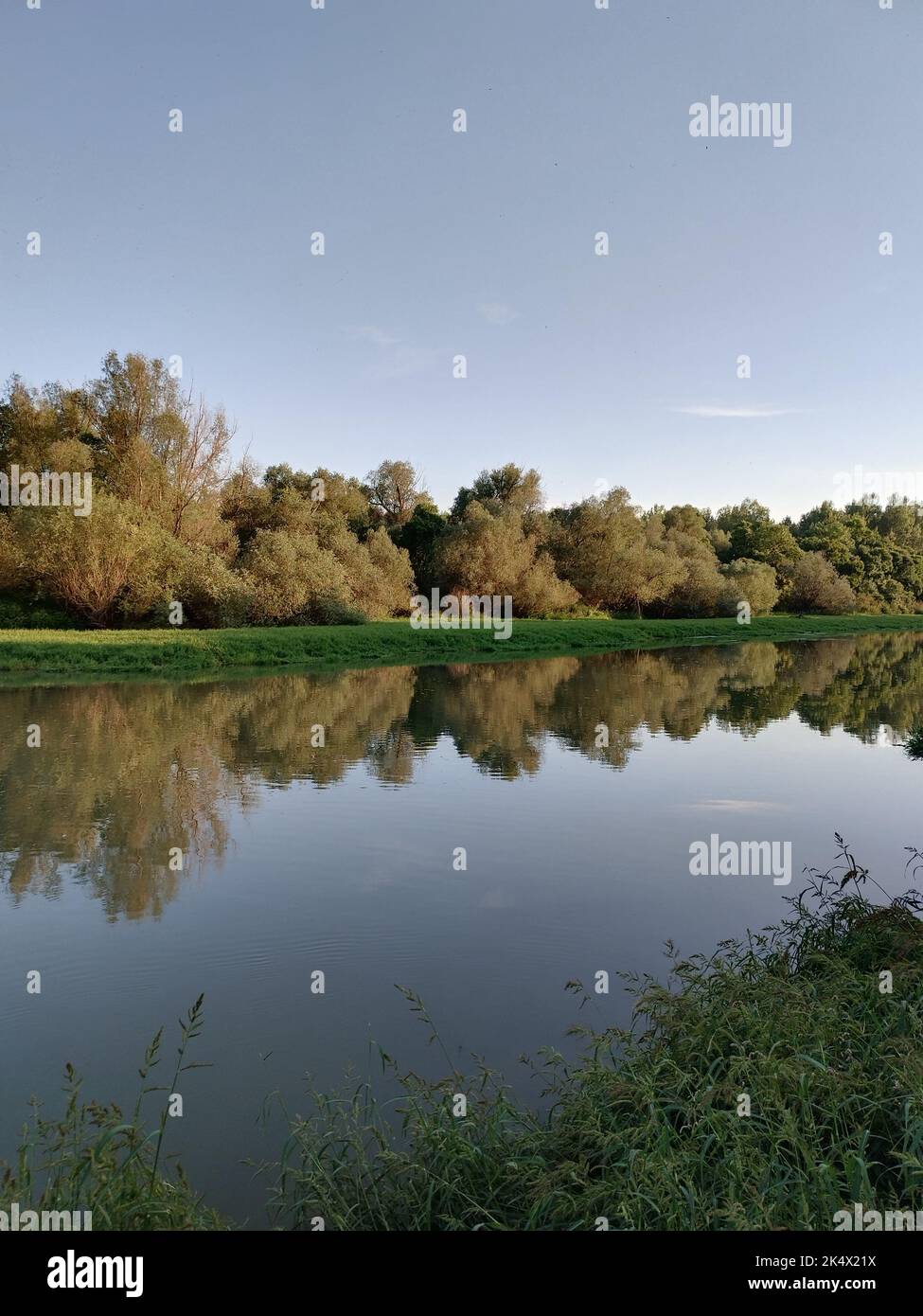 A vertical shot of a small pond with visible reflections on the surface ...