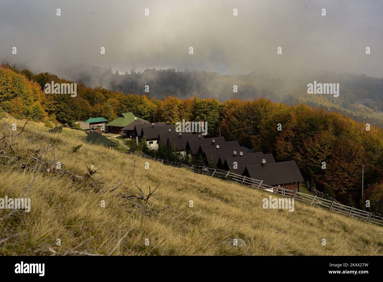 A group of small houses in the field with autumn trees in the ...