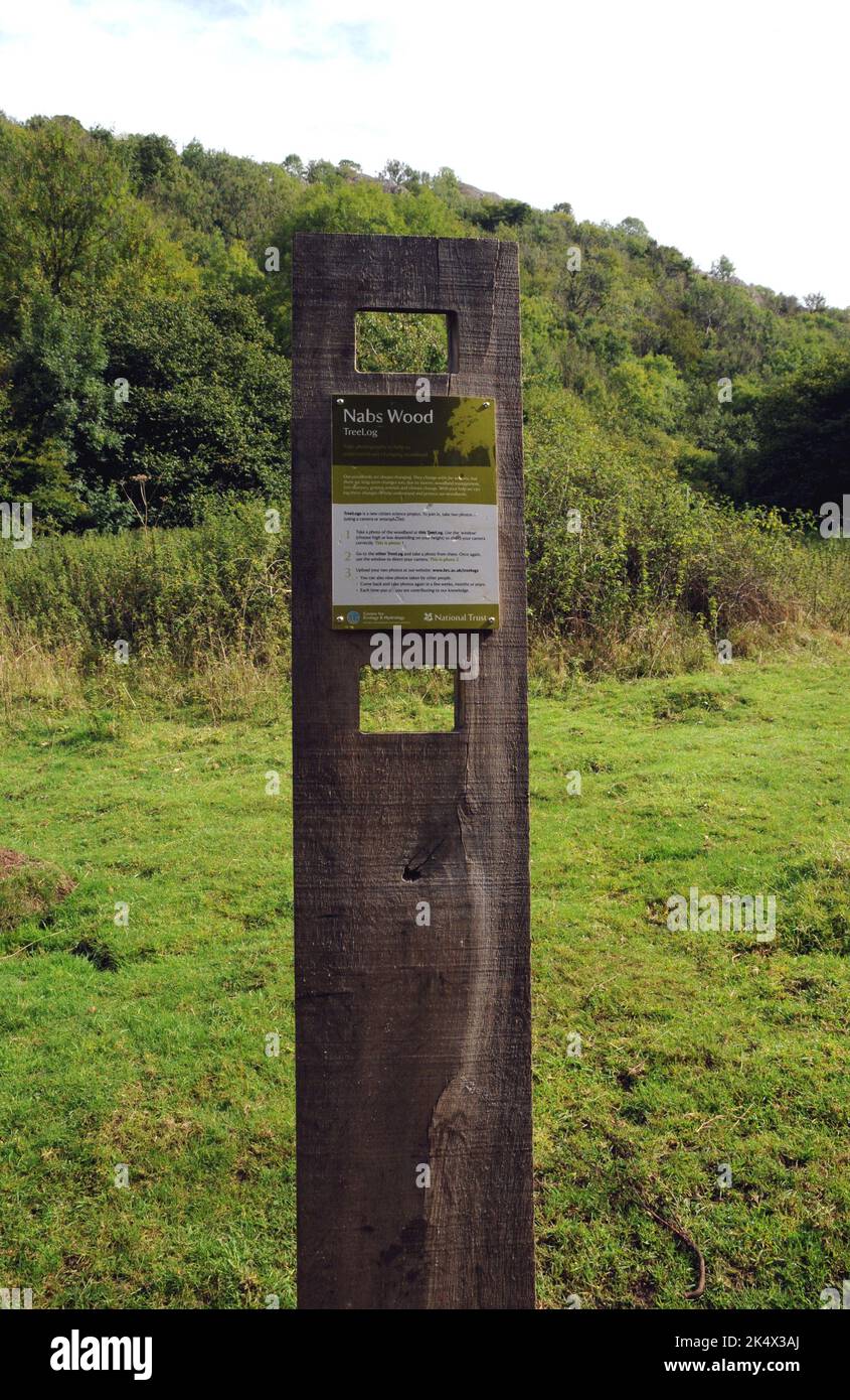 A TreeLog site for Nabs Wood nr. Milldale, Peak District. The project ...
