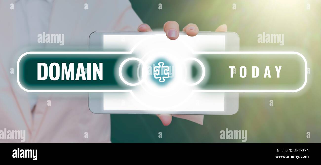 Text showing inspiration Domain. Internet Concept identification string ...