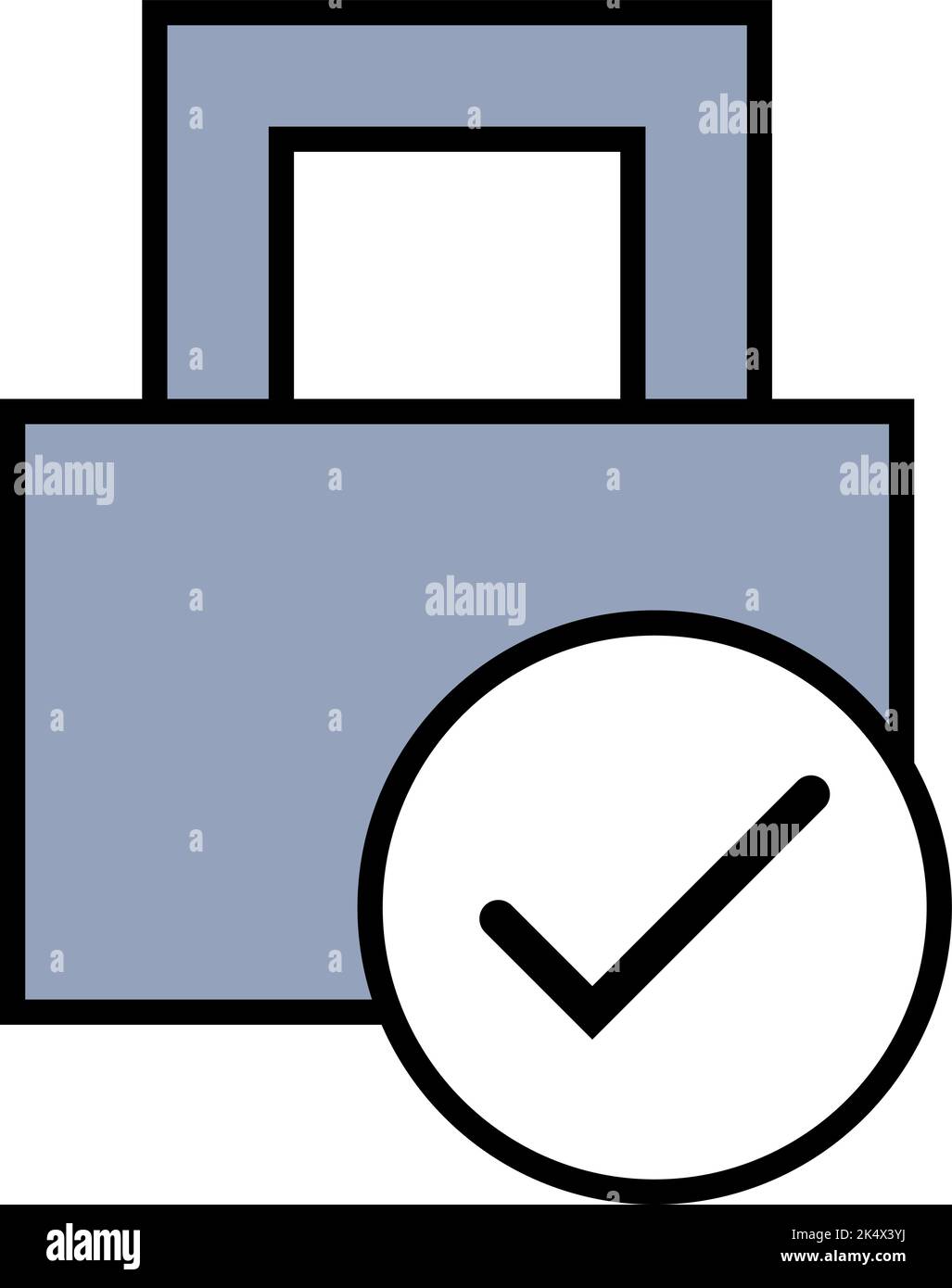 Online security confirmed password, illustration, vector on a white ...