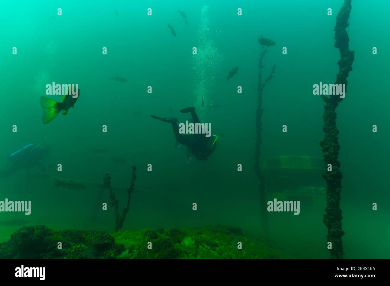 SCUBA divers exploring a strange and alien underwater landscape Stock ...
