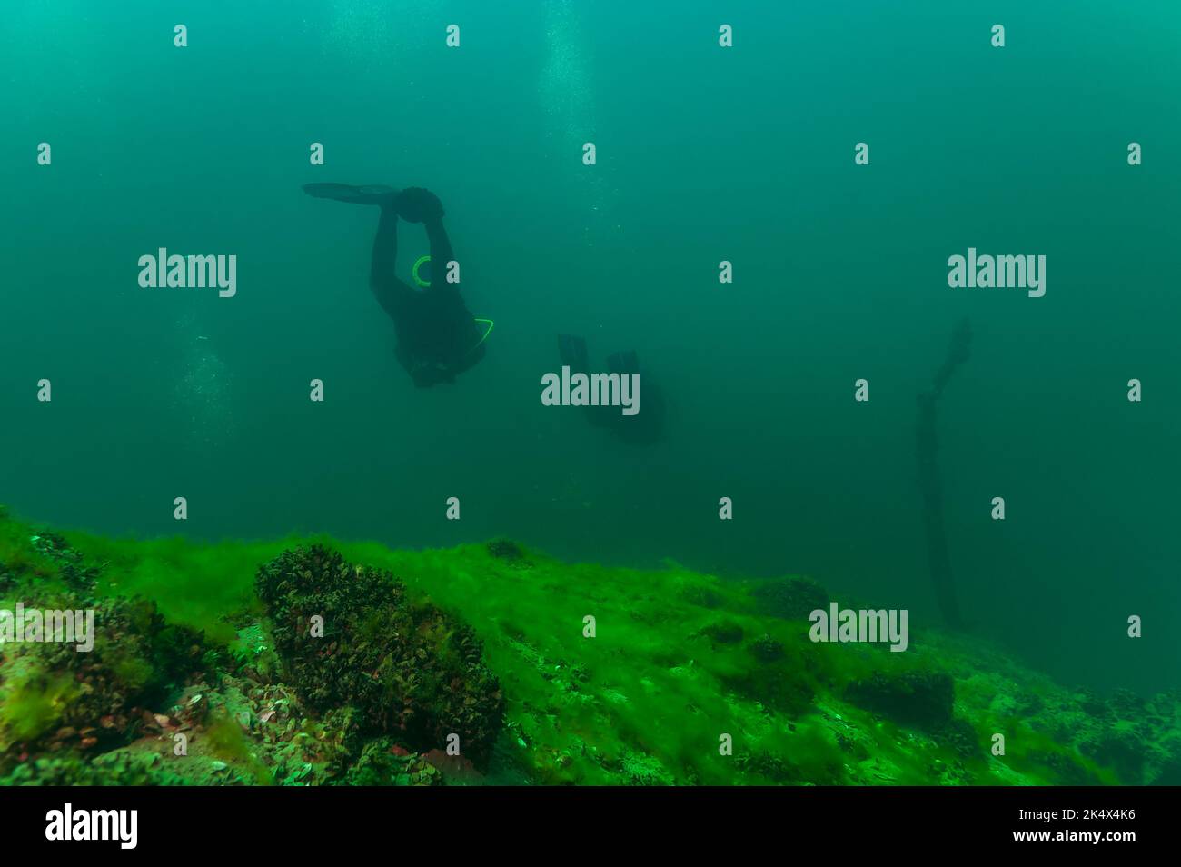 SCUBA divers exploring a strange and alien underwater landscape Stock ...
