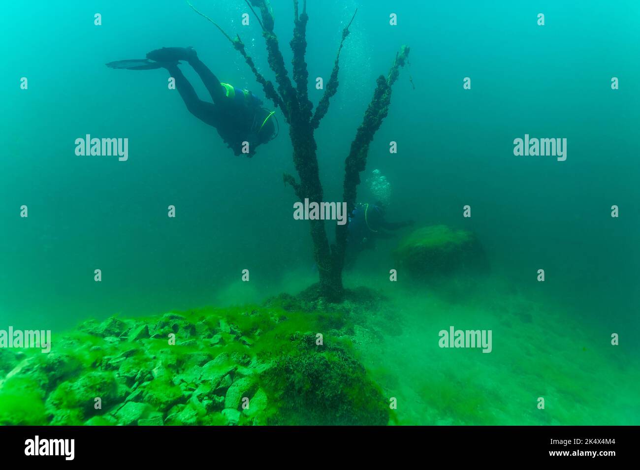 SCUBA divers exploring a strange and alien underwater landscape Stock ...