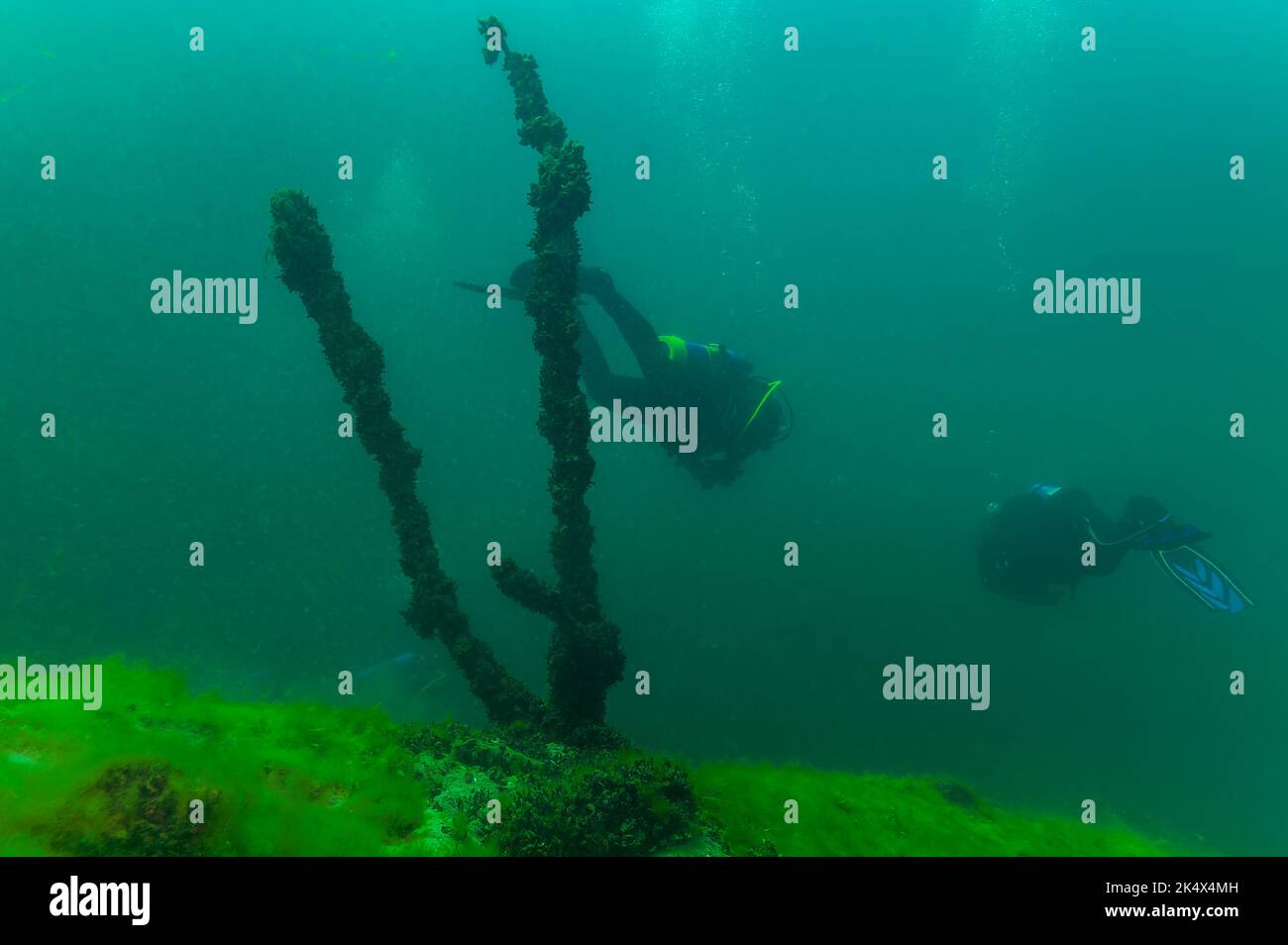 SCUBA divers exploring a strange and alien underwater landscape Stock ...
