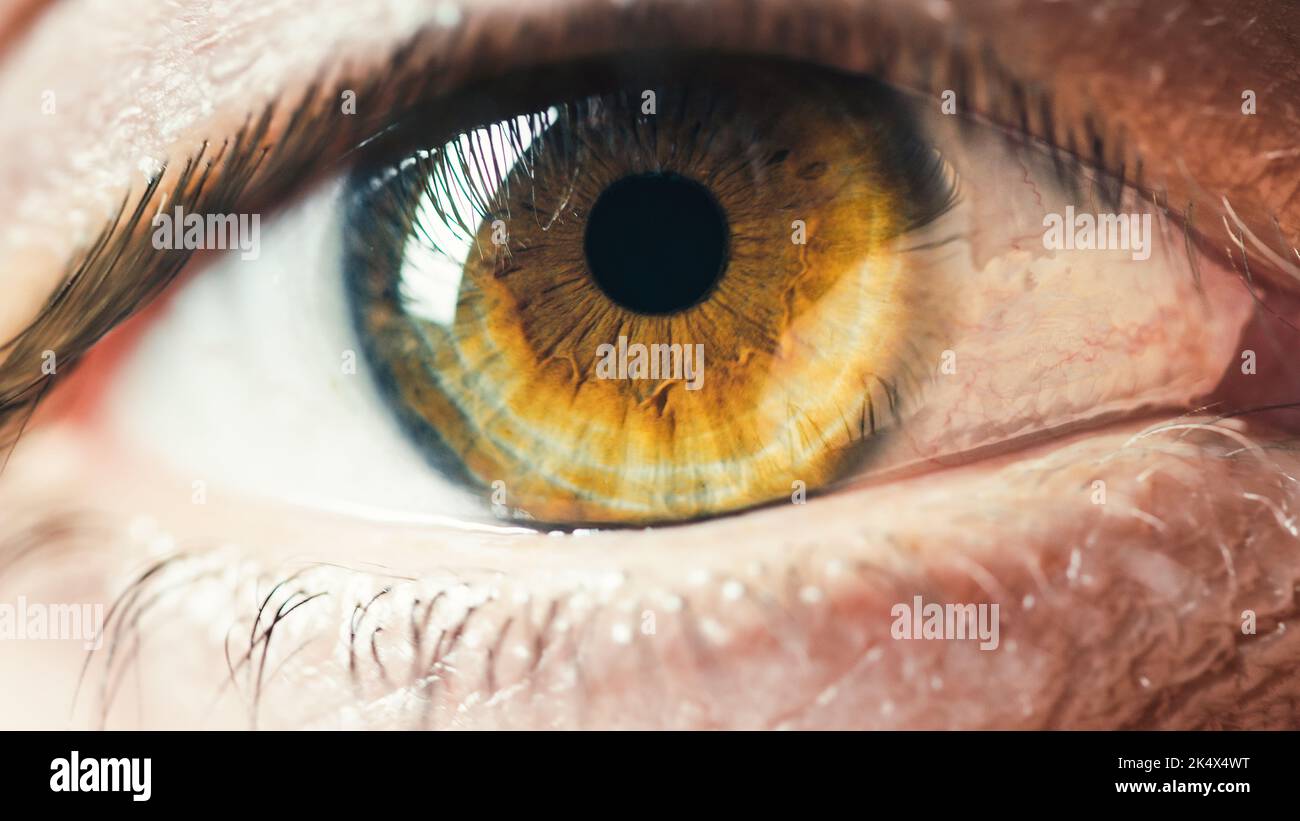 Iris eye hi-res stock photography and images - Alamy