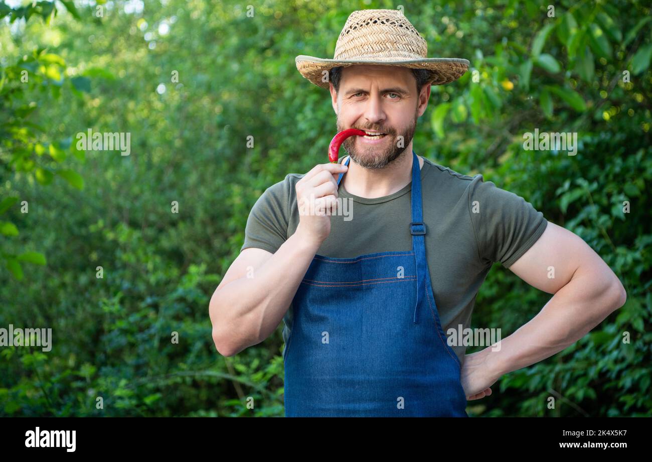 man greengrocer in straw hat with chili pepper vegetable. copy space ...