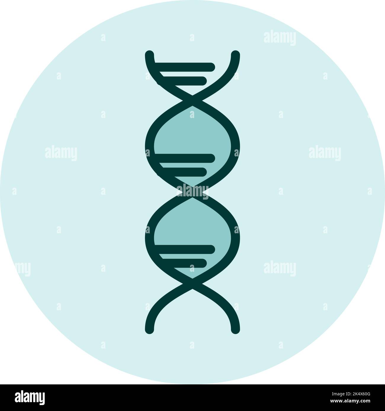 Genetics science, illustration, vector on a white background Stock ...