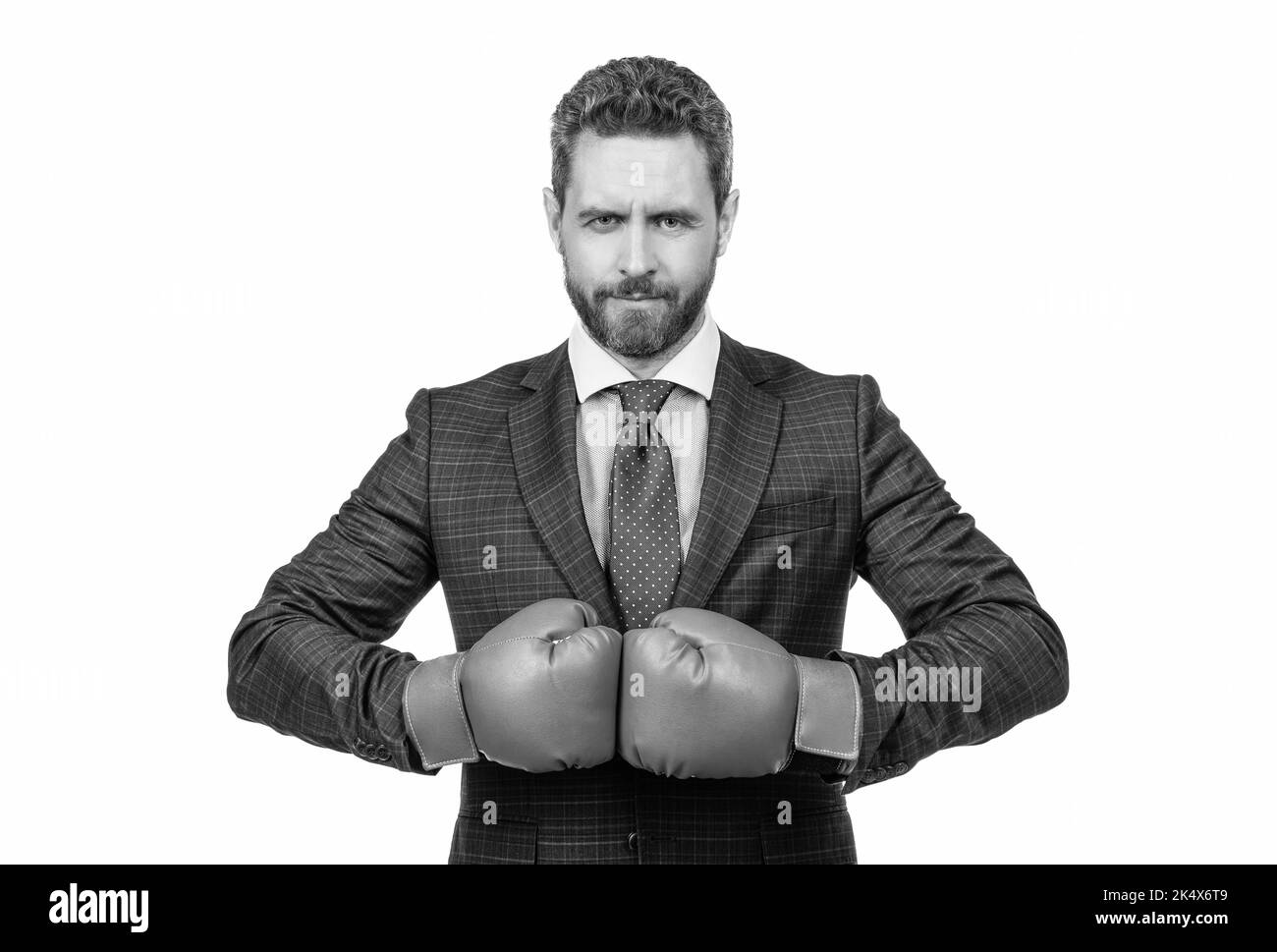 Ill knock you out. Serious boss wear boxing gloves. Boxing competition ...