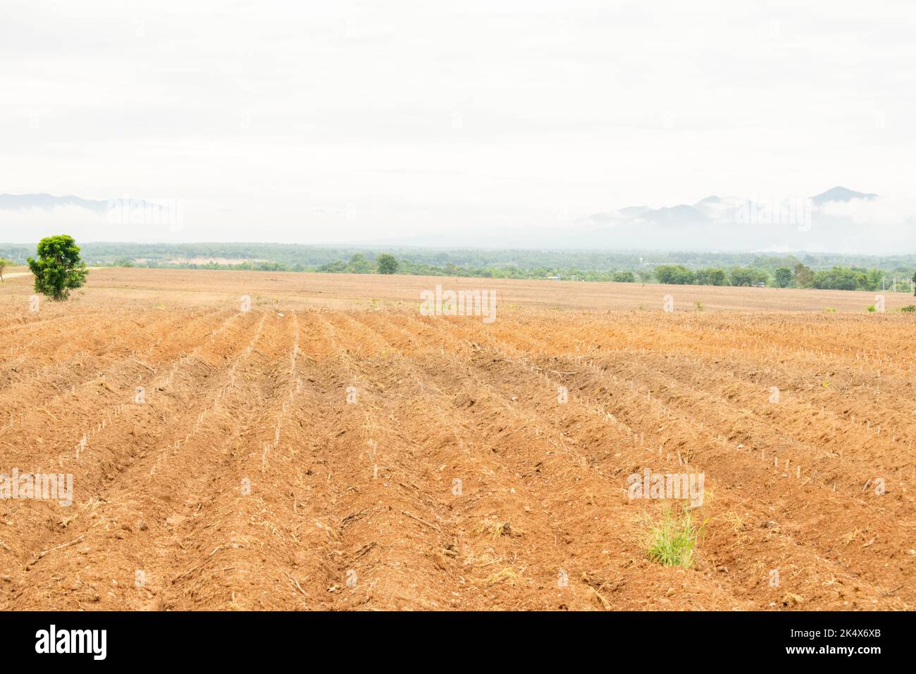 Vacant land before planting Empty muddy field of red soil Stock Photo ...