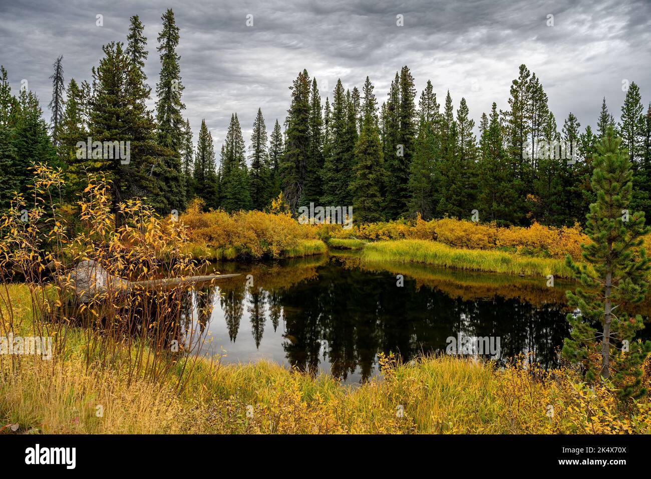Fall foliage by the Green River in Tweedsmuir South Provincial Park ...