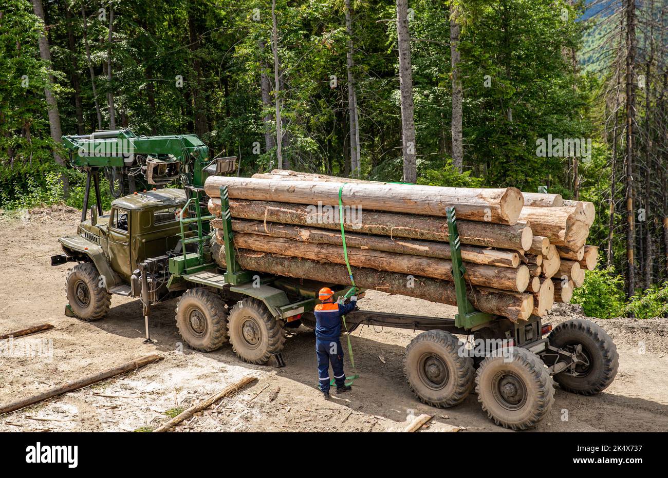 Lumberjack with modern harvester working in a forest. Forest industry ...
