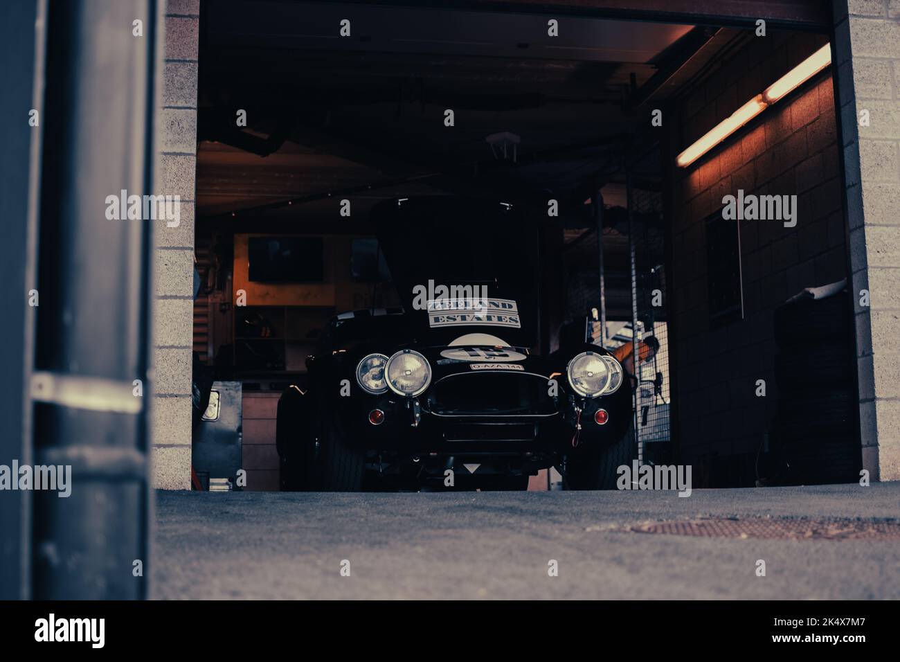 AC Cobra sleeping Stock Photo - Alamy