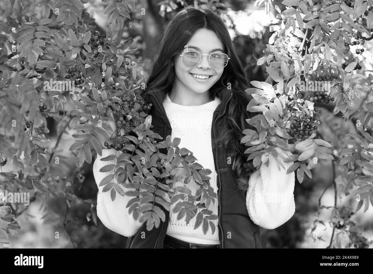 fall season fashion. teen girl with curly hair among autumn rowan ...