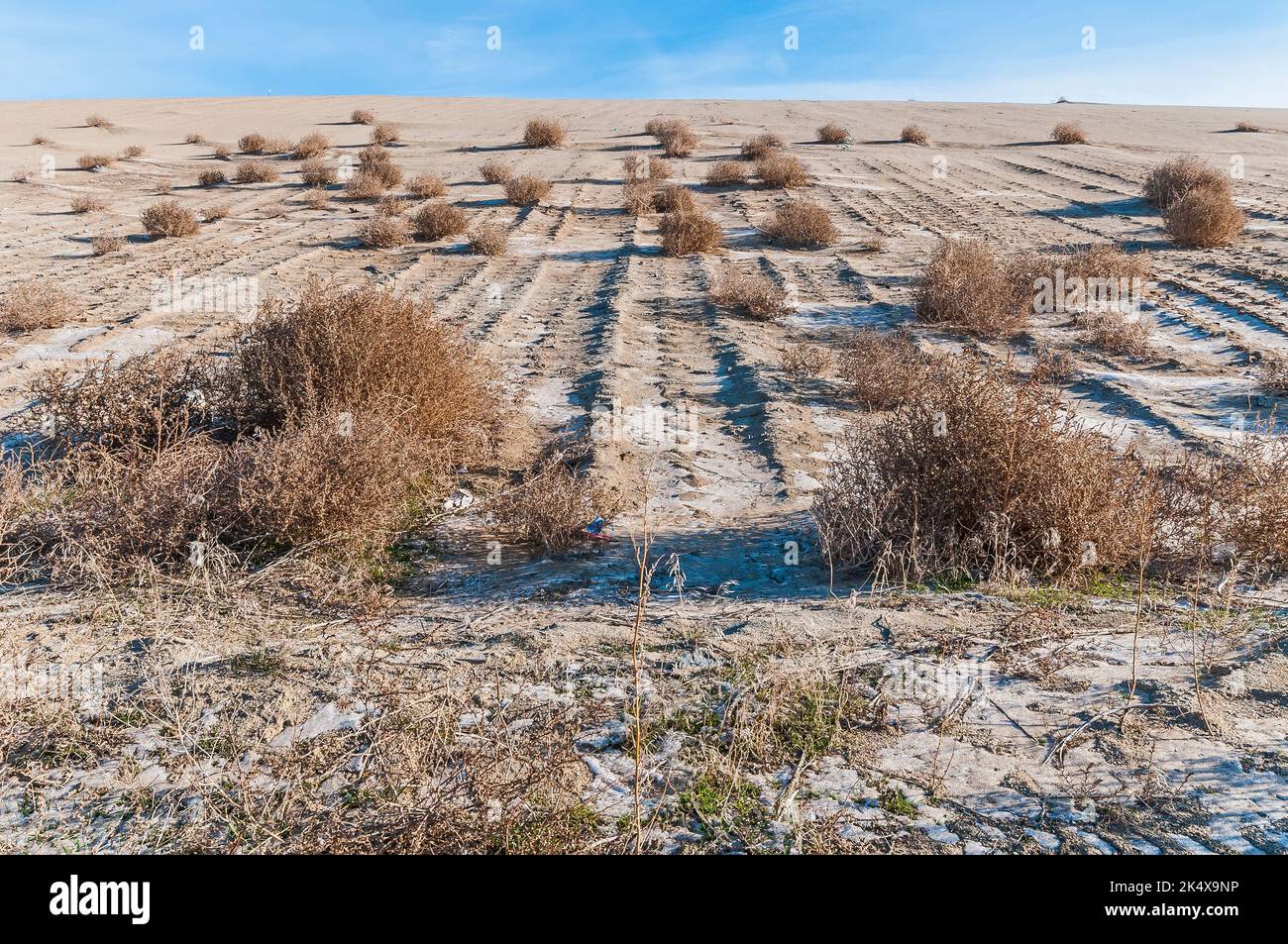 Tire and tread tracks are quite evident in the soil of an active solid ...
