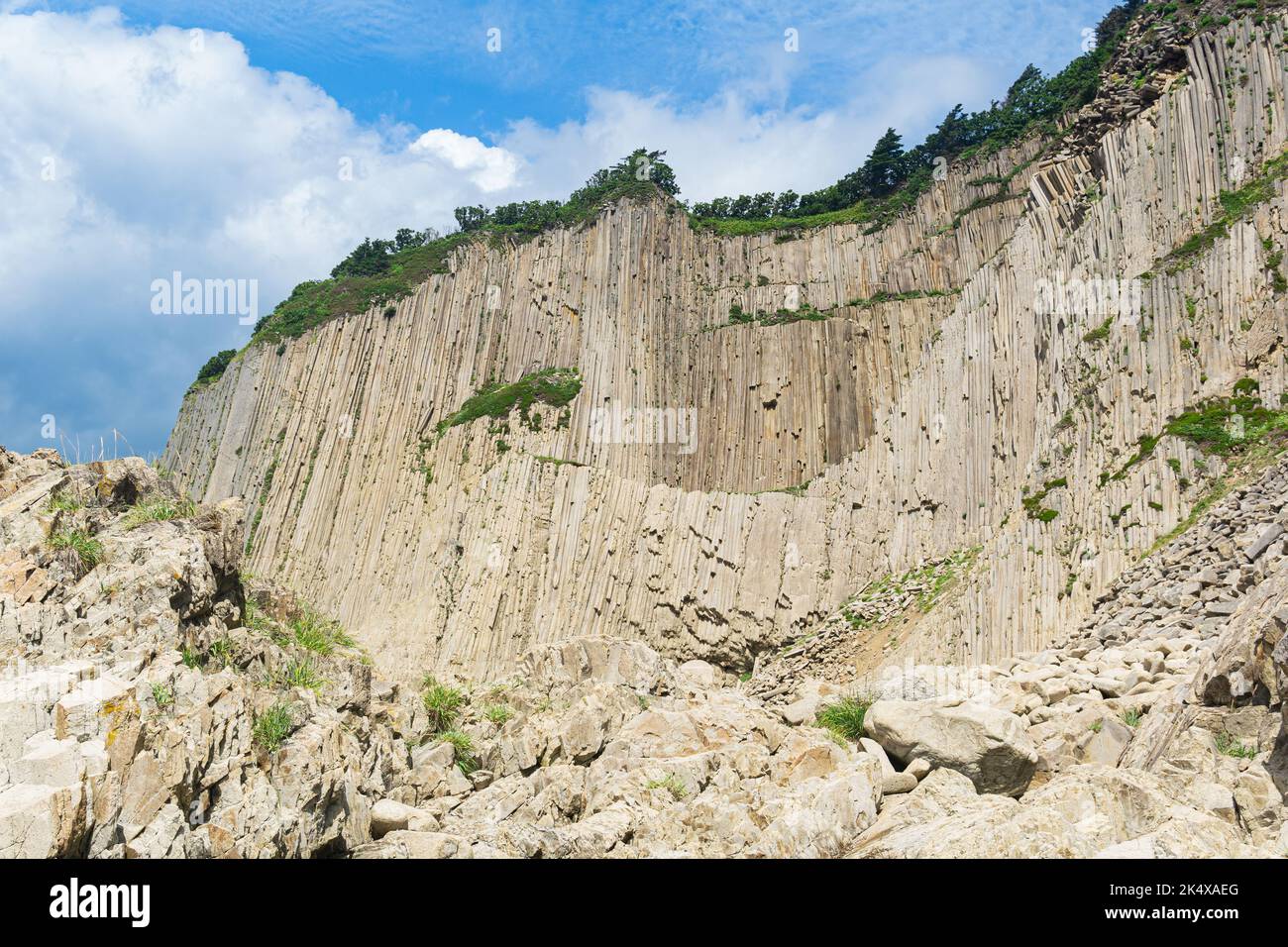 high coastal cliff formed by solidified lava stone columns, Cape ...