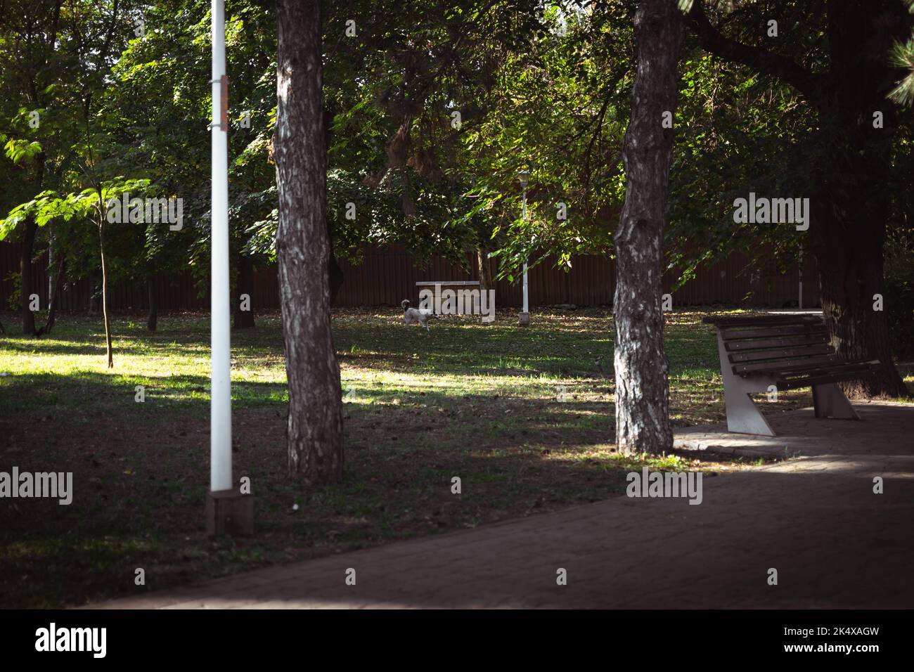 Dog house in park. Autumn Green trees in the romanian park in Galati ...