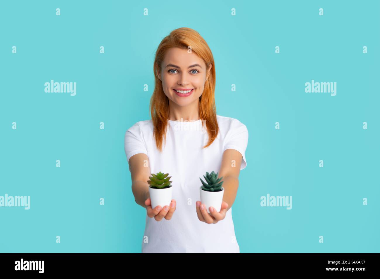 Woman with cactus in hands smiling woman and cactus Stock Photo - Alamy