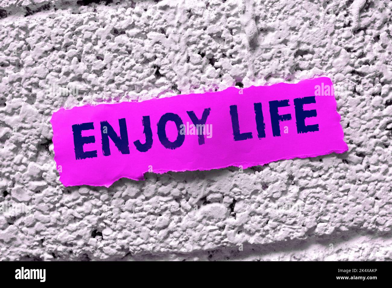 Text sign showing Enjoy Life. Word Written on Any thing, place,food or ...