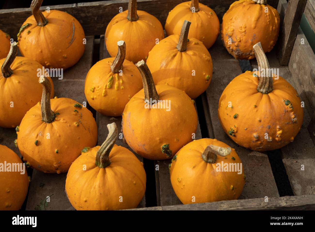 Selection home grown fruit hi-res stock photography and images - Alamy
