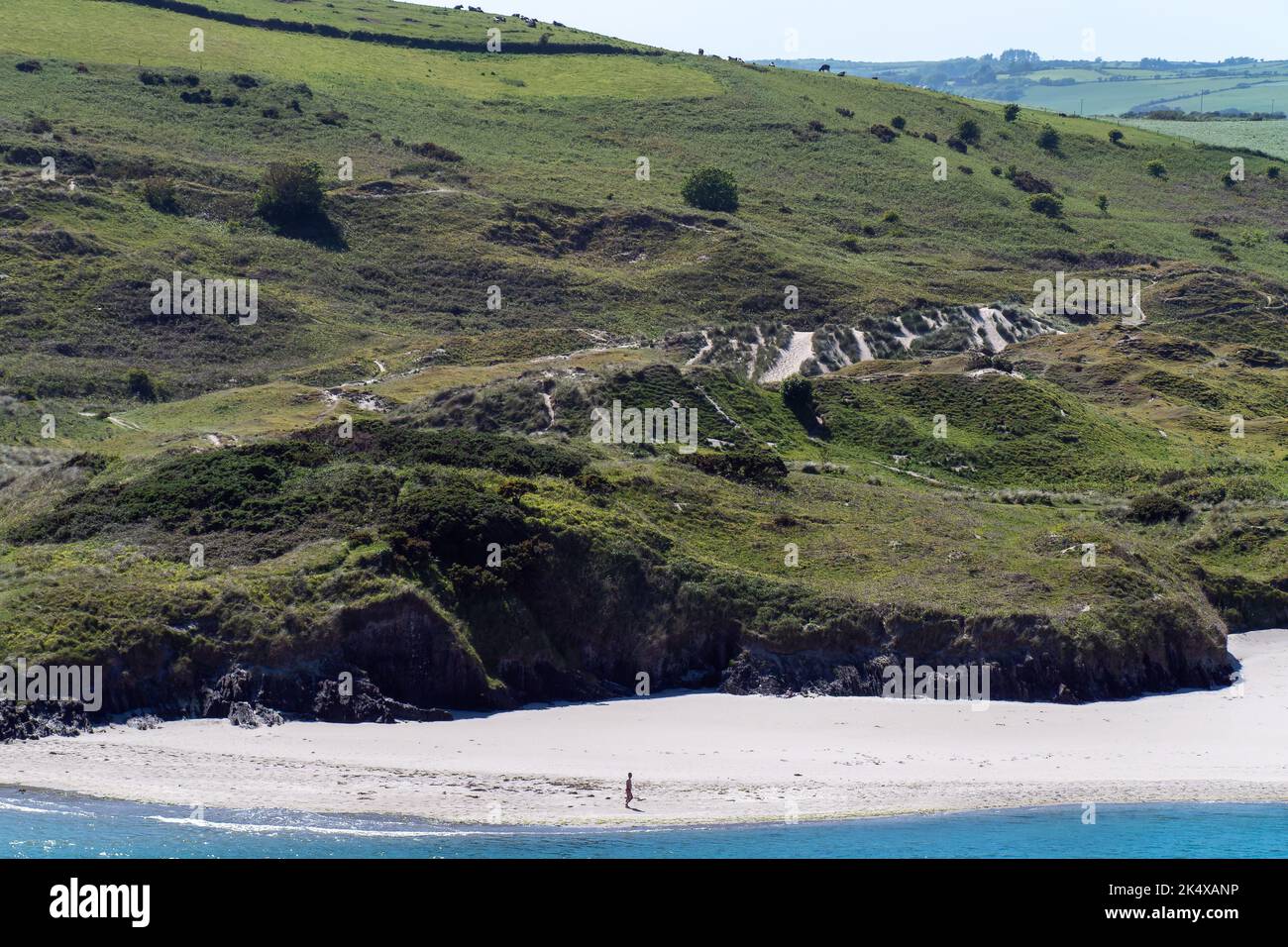 County Cork, Ireland, May 28, 2022. Shrub-covered sand dunes on the ...