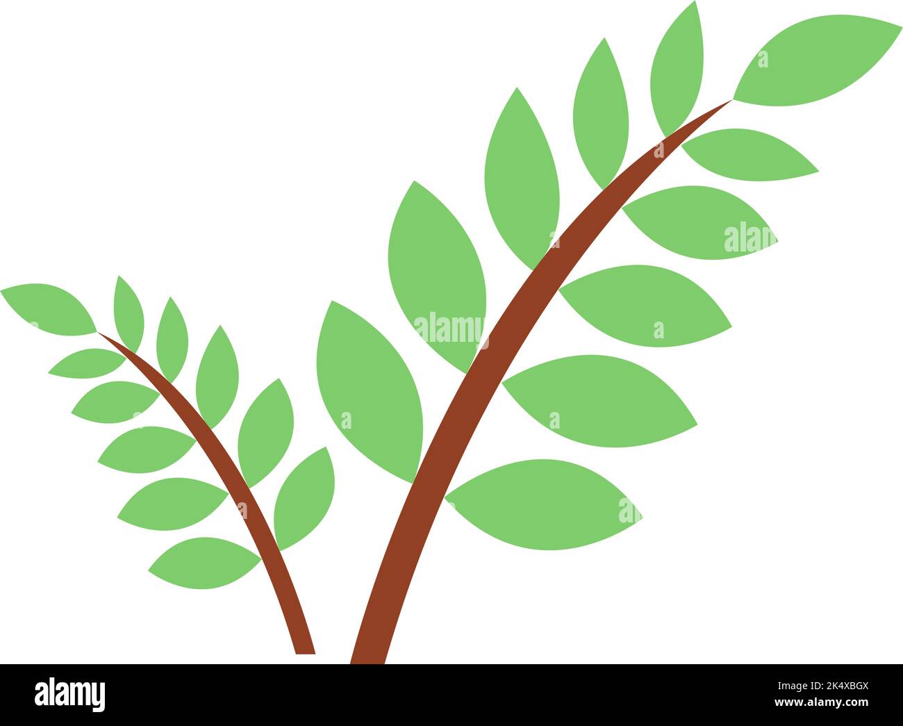 Spring Tree Branch Illustration Vector On A White Background Stock