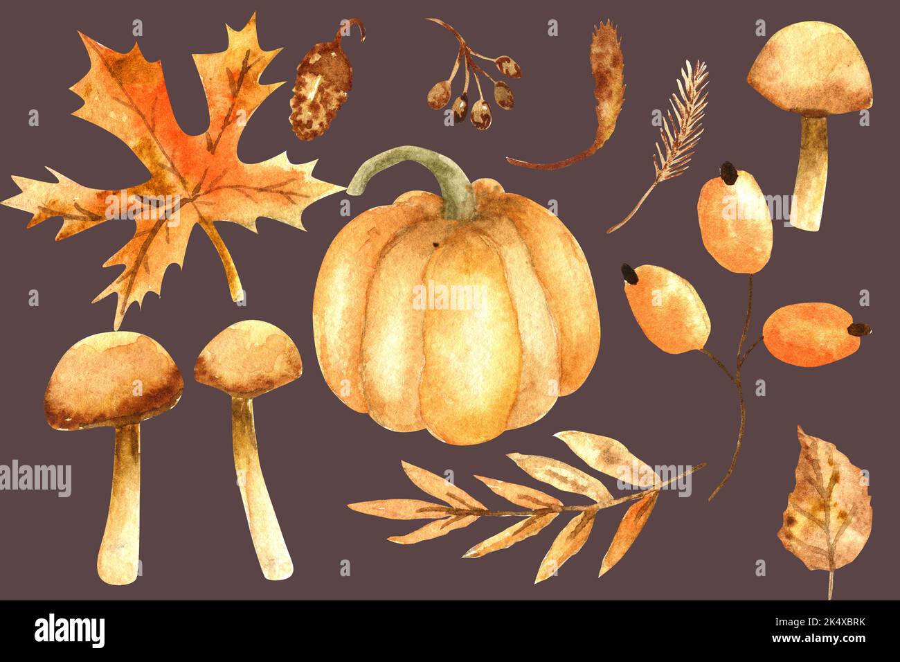 Vintage pumpkin illustration hi-res stock photography and images - Alamy